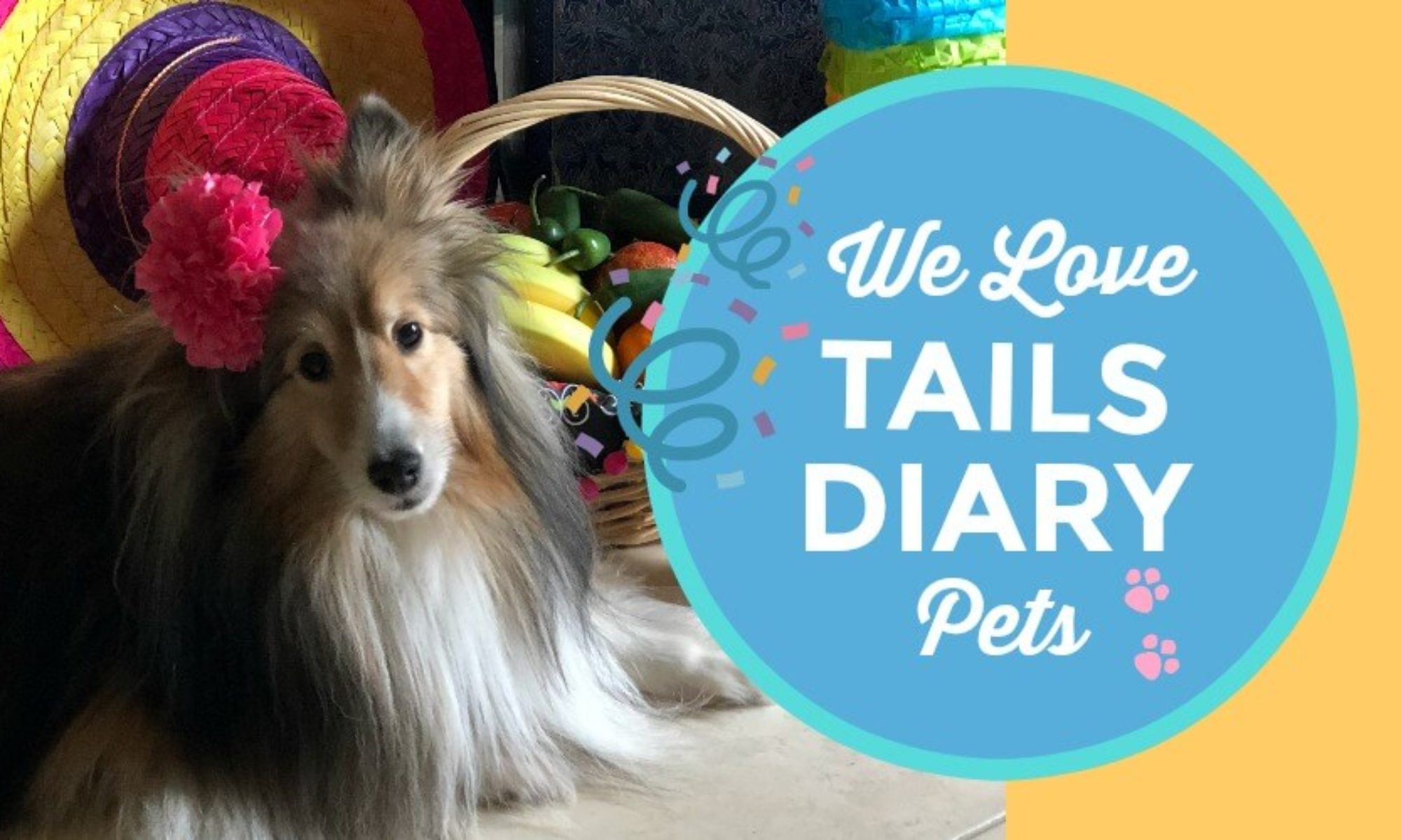 TailsDiary.Pet