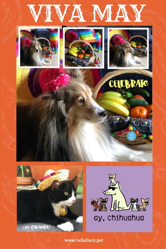 Pawsome May Celebrations and More - TailsDiary.Pet