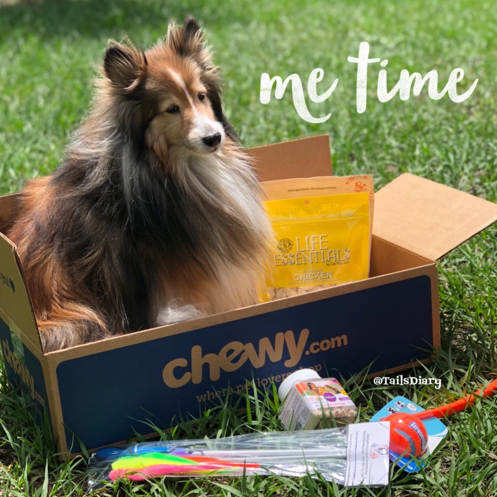Pet Treats Trends and Our Favorites - TailsDiary.Pet