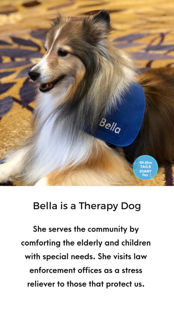 LIFE magazine - Dogs Love and dependence - TailsDiary.Pet