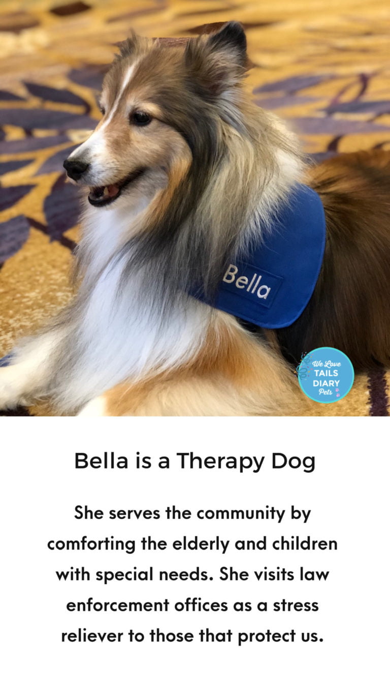 LIFE magazine - Dogs Love and dependence - TailsDiary.Pet