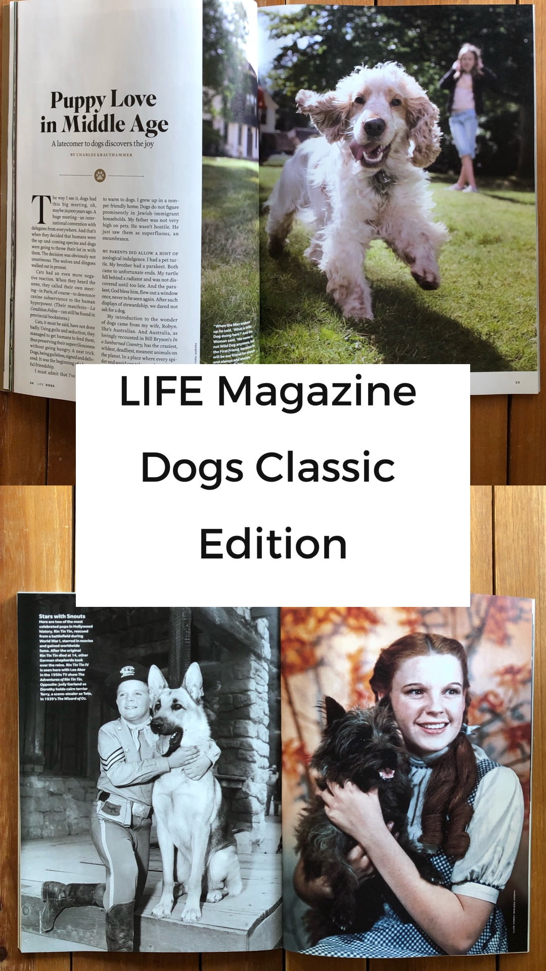LIFE magazine - Dogs Love and dependence - TailsDiary.Pet