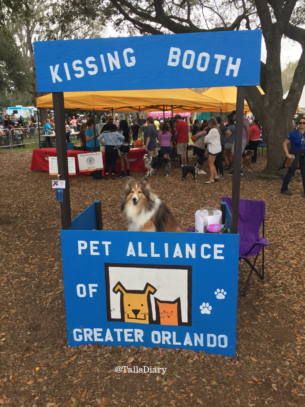 Paws in the Park Event in Orlando, Florida - TailsDiary.Pet