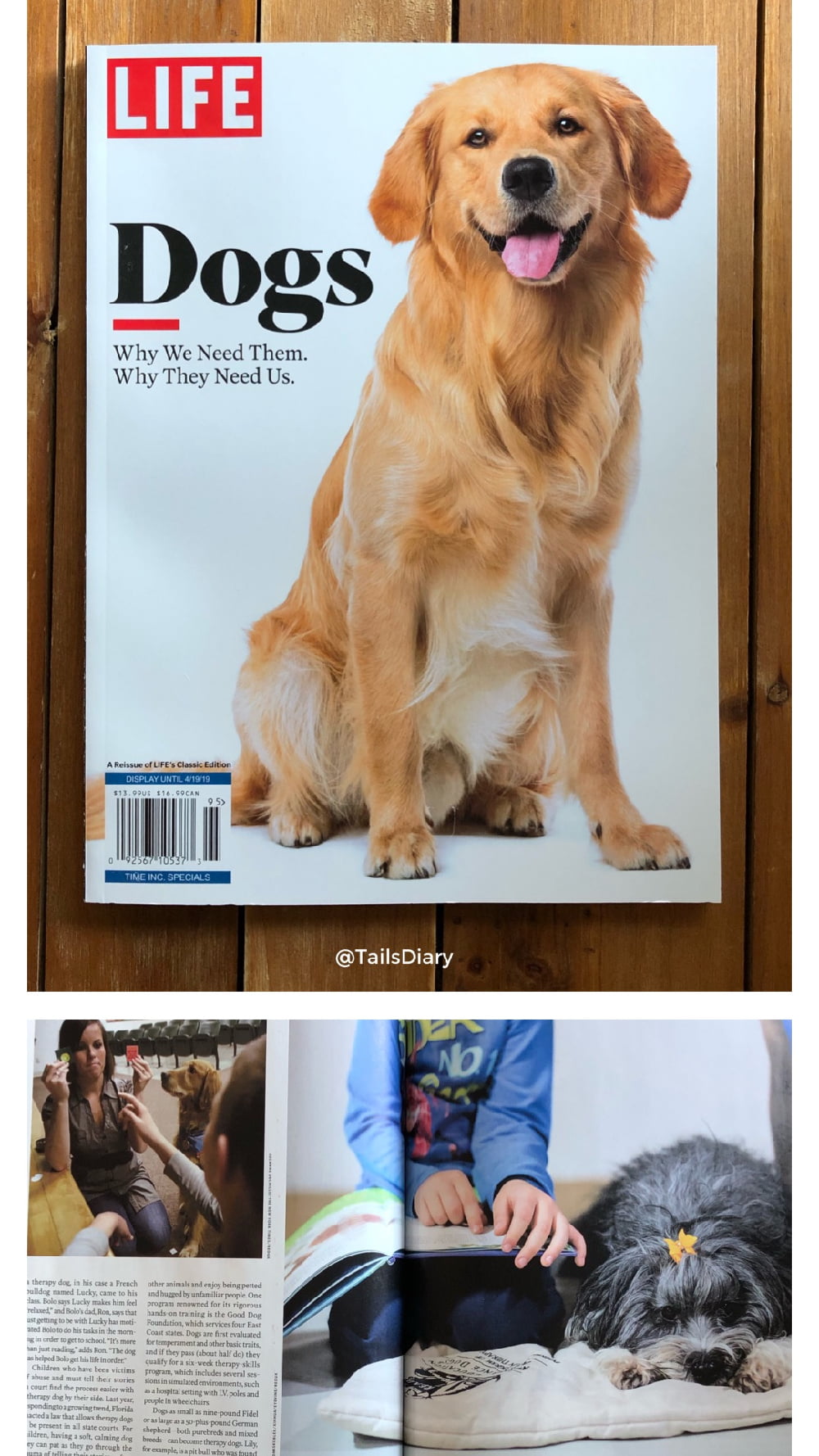 LIFE magazine - Dogs Love and dependence - TailsDiary.Pet