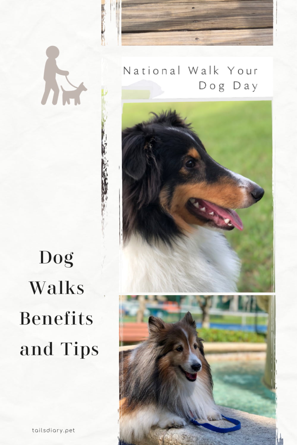 Dog Walks and why adding them to the daily routine - TailsDiary.Pet